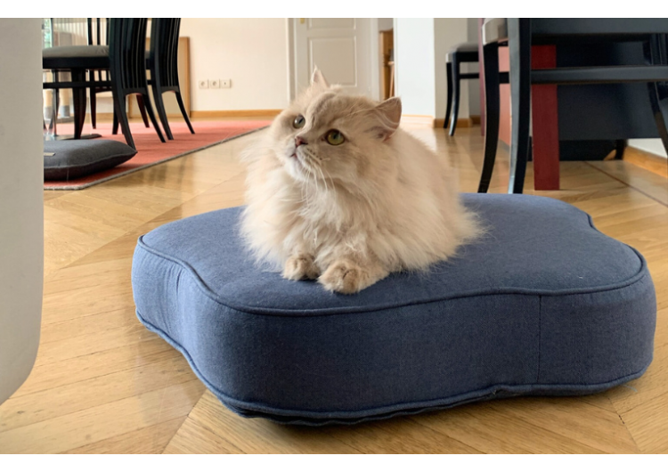 Créer un coin de repos relaxant pour votre chat ou chien - Bogarel